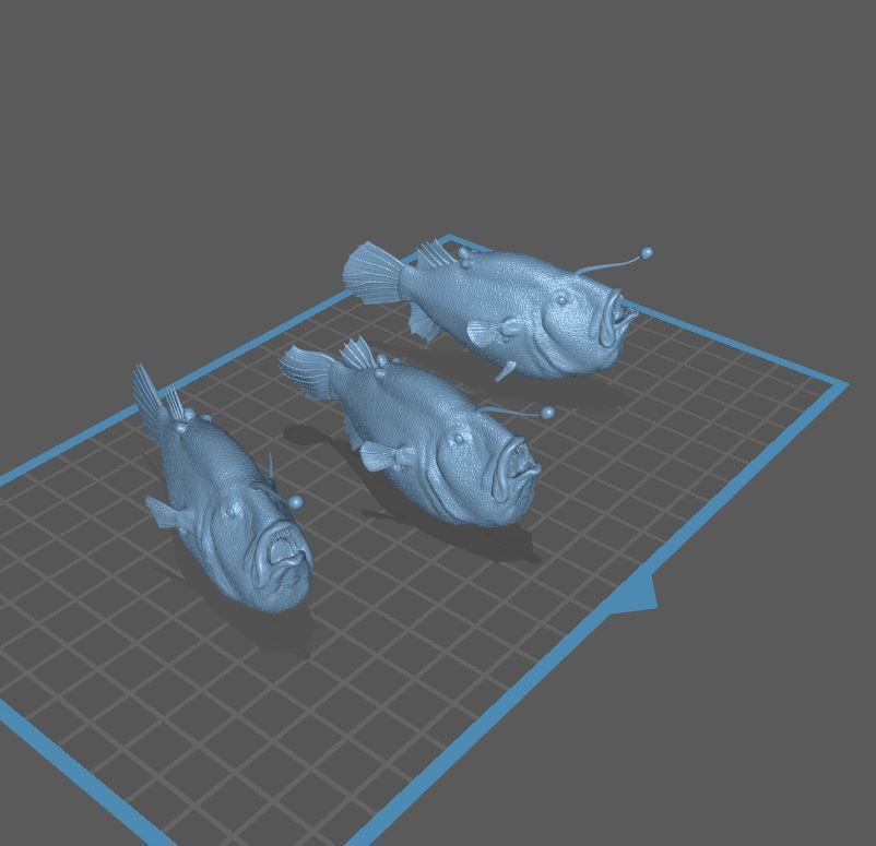Triplewart Seadevil - Realistic Angler Fish 3d Print 3D model 3D ...