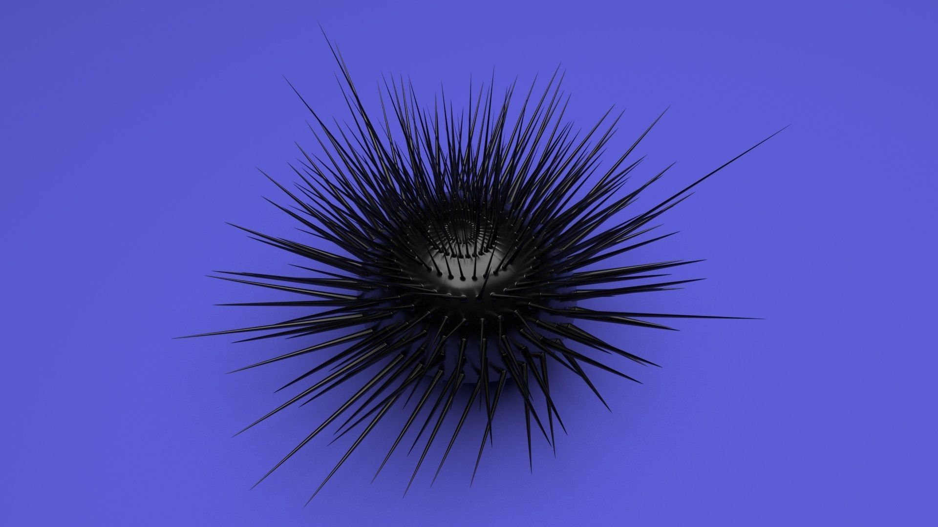 Sea Urchin 3D model | CGTrader