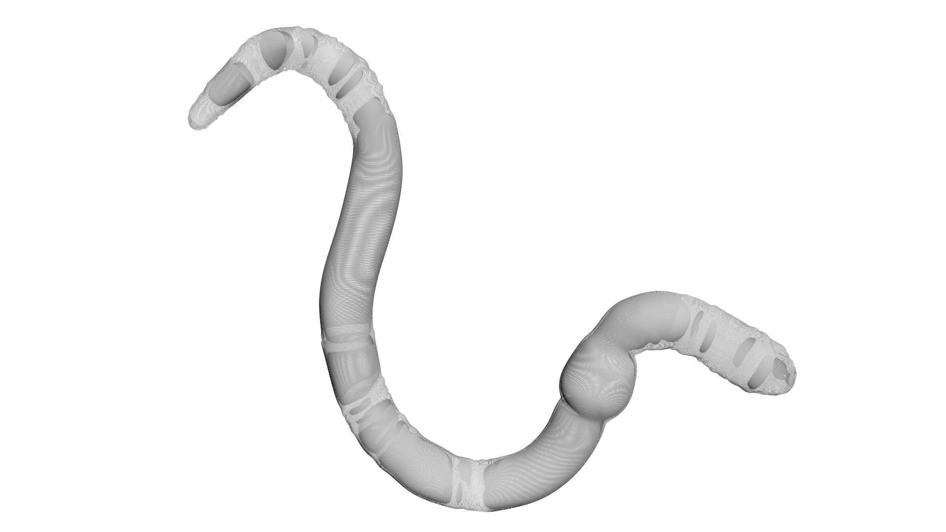 Earthworm 3D model | CGTrader