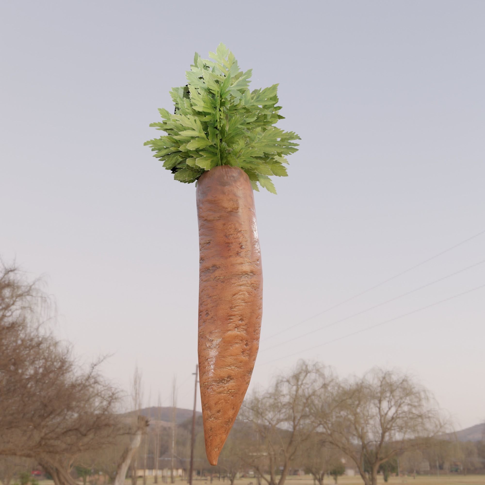 Simple Carrot 3D model | CGTrader