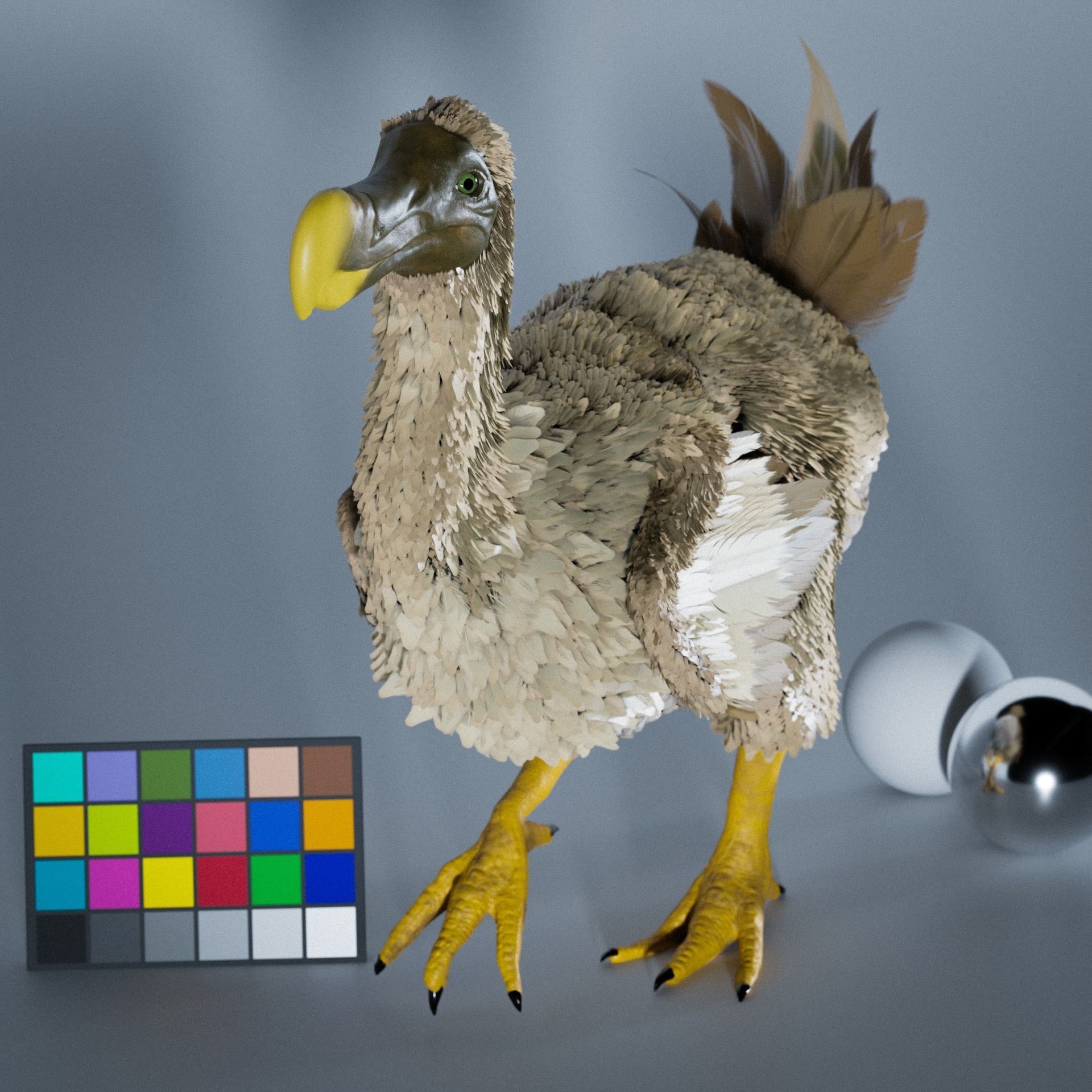 Dodo Animated 3D model animated rigged | CGTrader