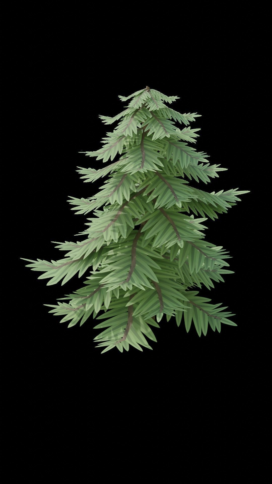 3D model 10 Stylized low poly Pine trees VR / AR / low-poly | CGTrader