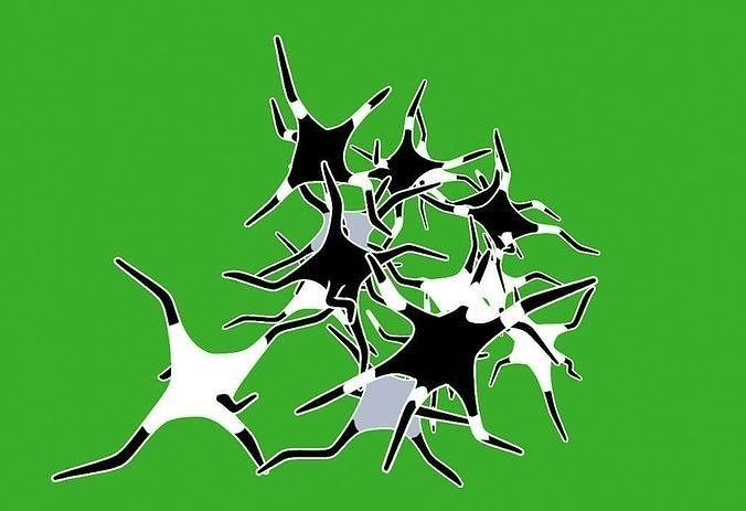 neuron brain activity animated neurons 3D model animated | CGTrader