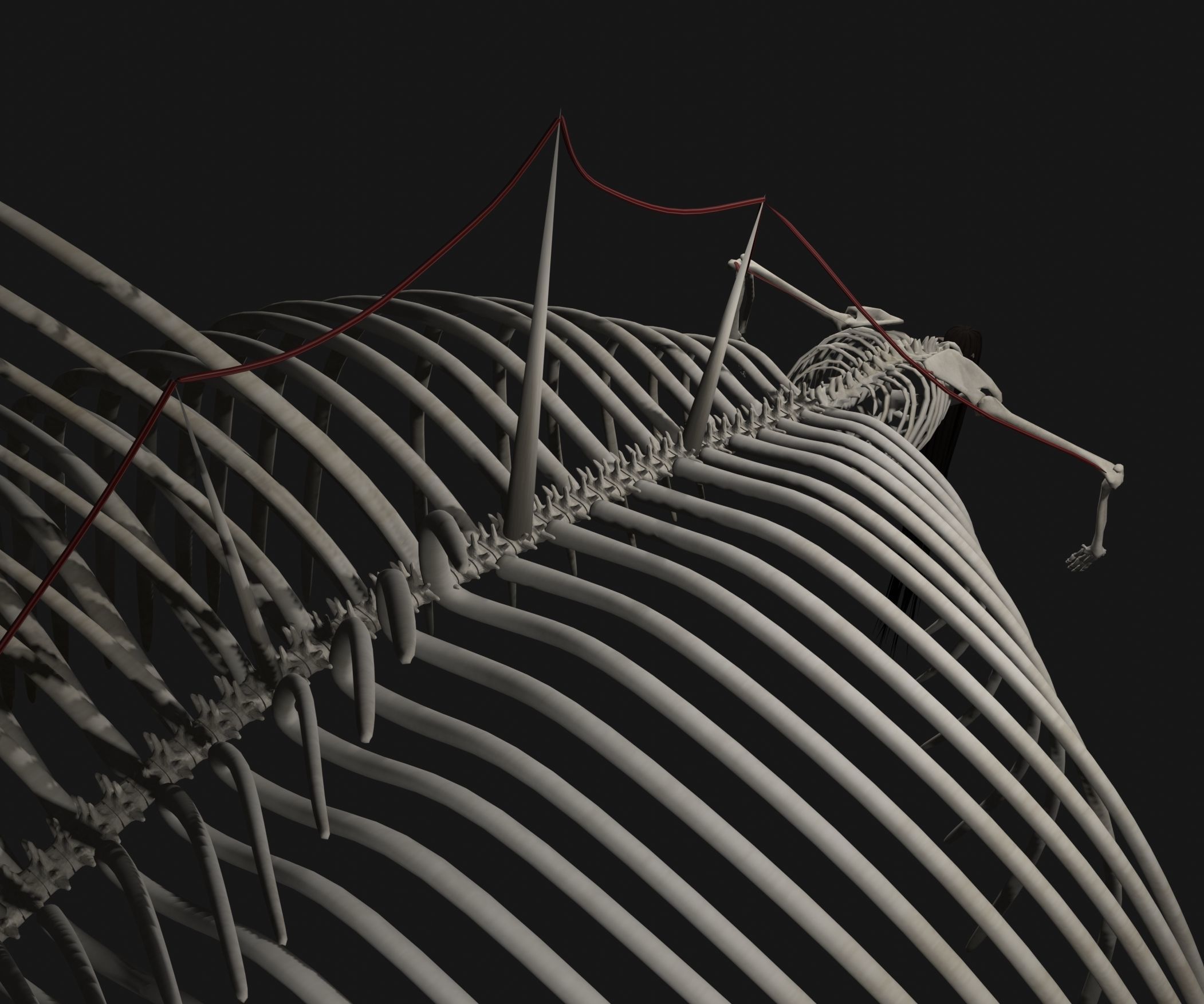 eren yeager 3D model animated rigged | CGTrader