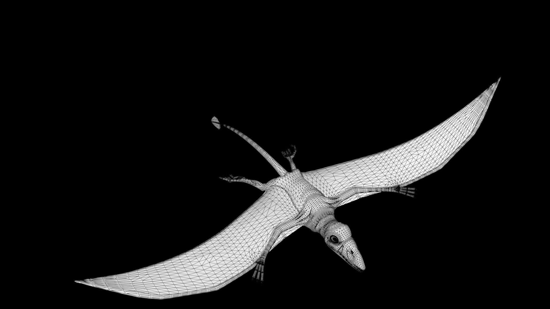 4K Eudimorphodon 3D model animated | CGTrader