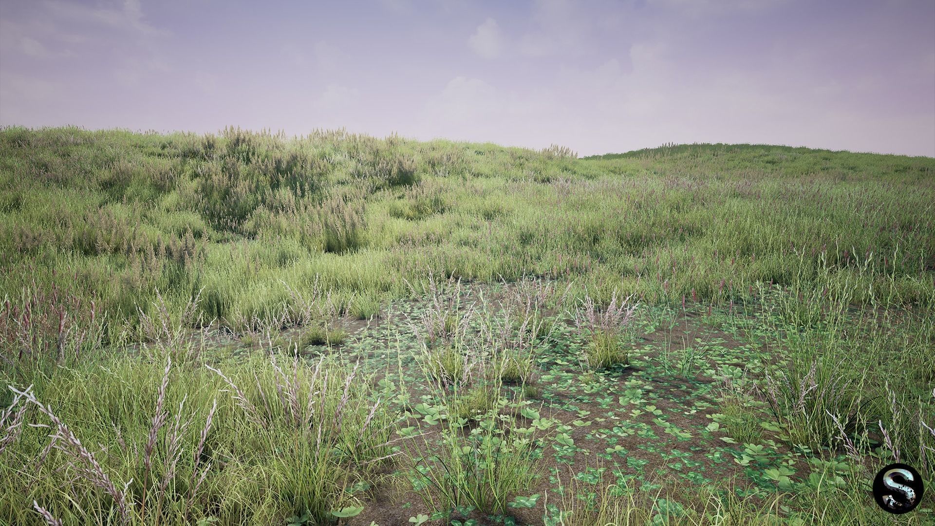 3D model Grass Pack VR / AR / low-poly | CGTrader
