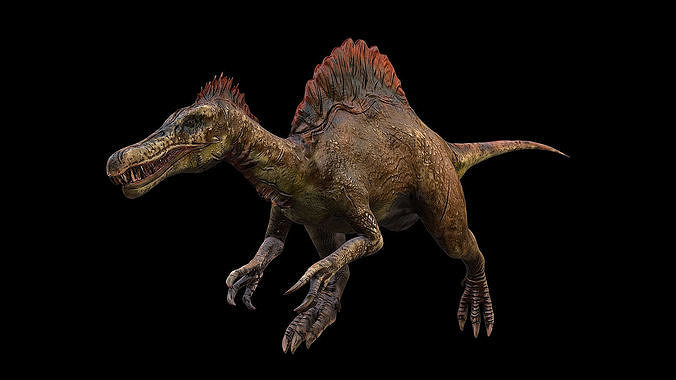 3D model Spinosaurus - Spino Dinosaur - Ngchipv VR / AR / low-poly ...