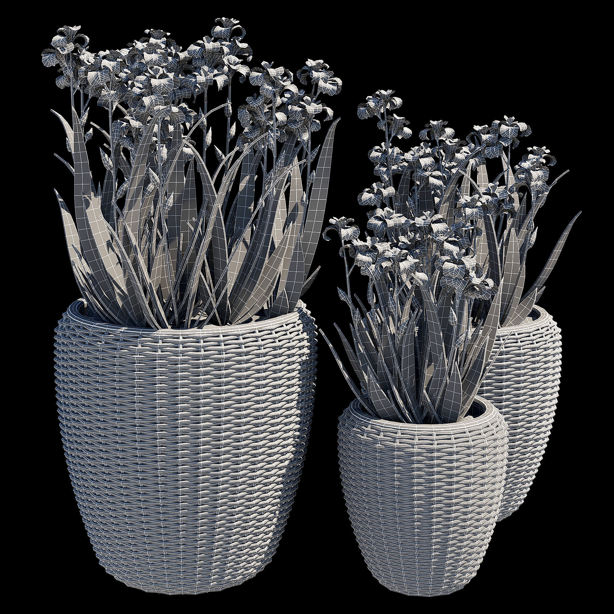 Iris pot 3D model | CGTrader