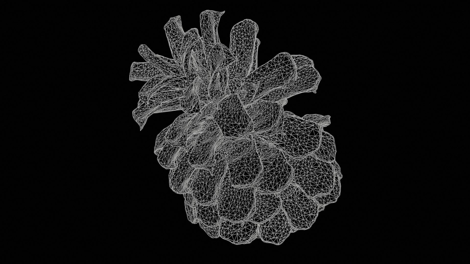 3D model 3d scan cone pine VR / AR / low-poly | CGTrader