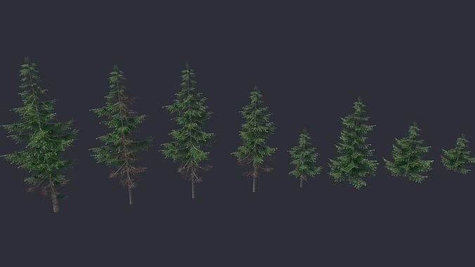 3D model Conifer VR / AR / low-poly | CGTrader