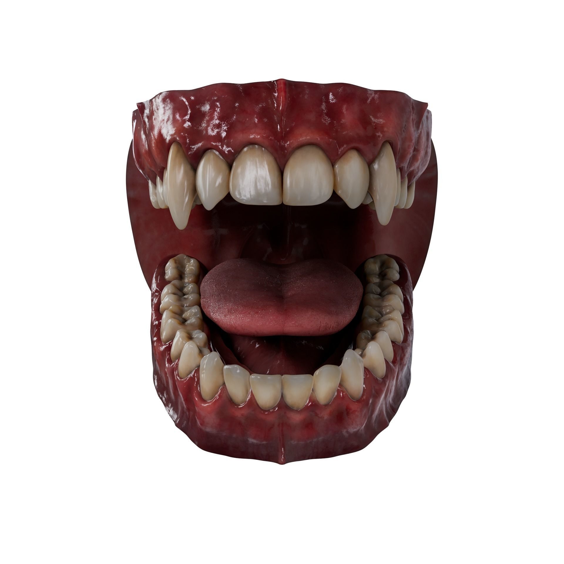 Photorealistic Teeth 3D model rigged | CGTrader