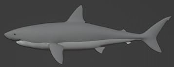 SHARKS 3D model | CGTrader