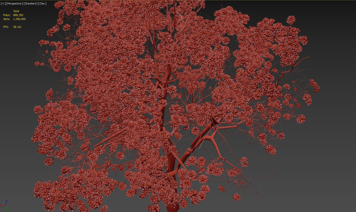 Tree - Plant - Tabebuia aurea - Plantae - Bignoniaceae 3D model | CGTrader