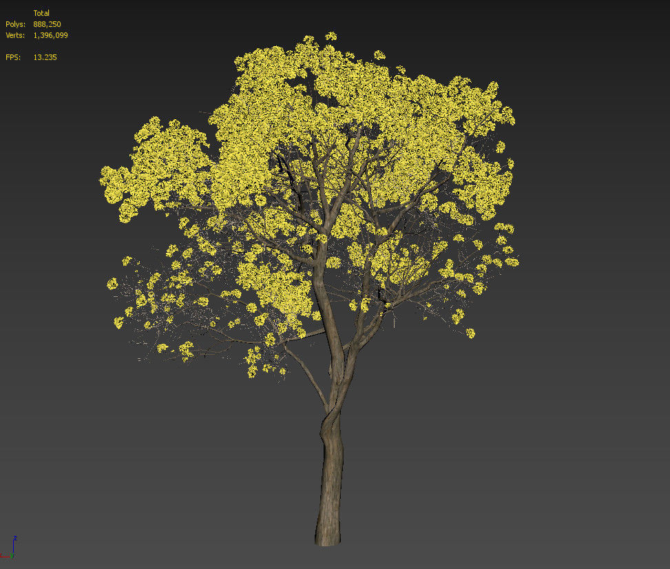 Tree - Plant - Tabebuia aurea - Plantae - Bignoniaceae 3D model | CGTrader