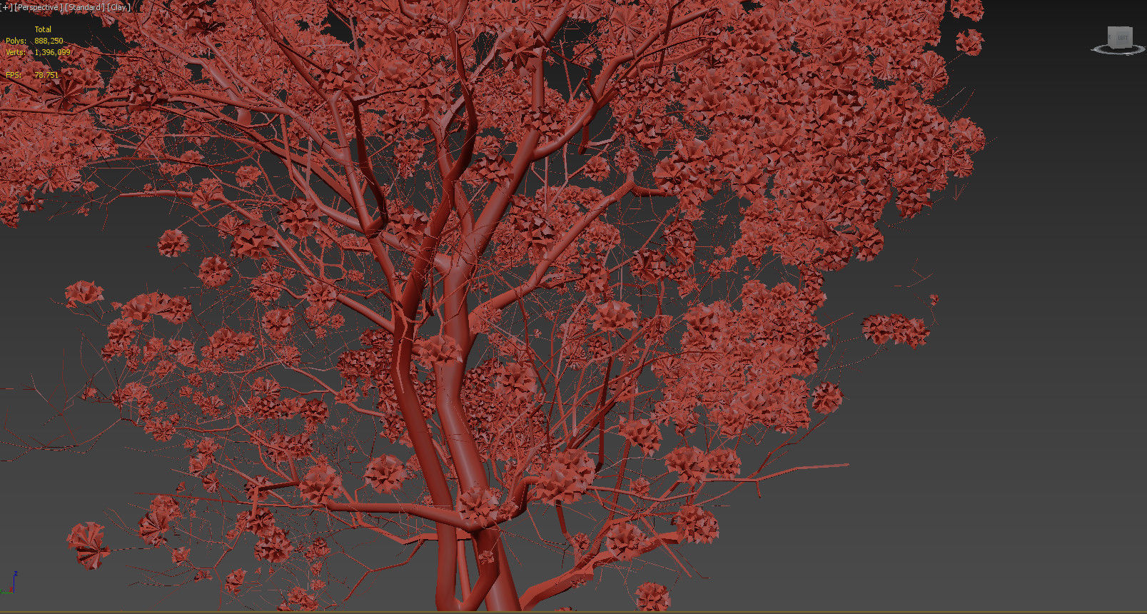 Tree - Plant - Tabebuia aurea - Plantae - Bignoniaceae 3D model | CGTrader