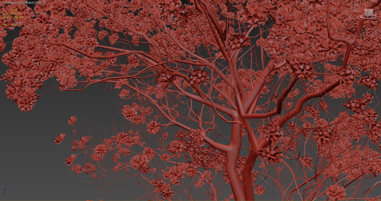 Tree - Plant - Tabebuia aurea - Plantae - Bignoniaceae 3D model | CGTrader