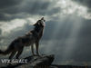 Wolf Animation VFX Grace 3D model animated rigged | CGTrader