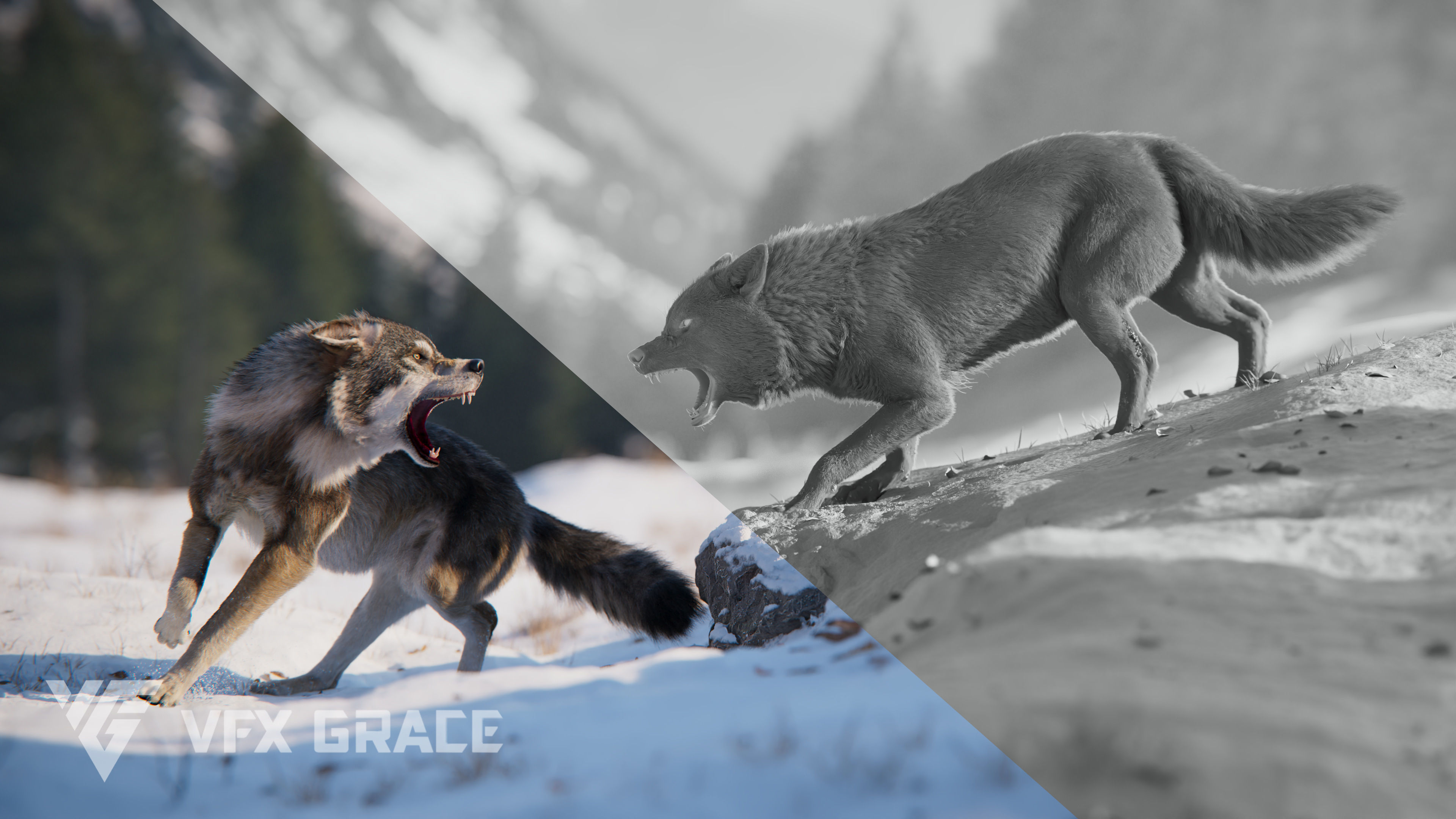 Wolf Animation VFX Grace 3D model animated rigged | CGTrader