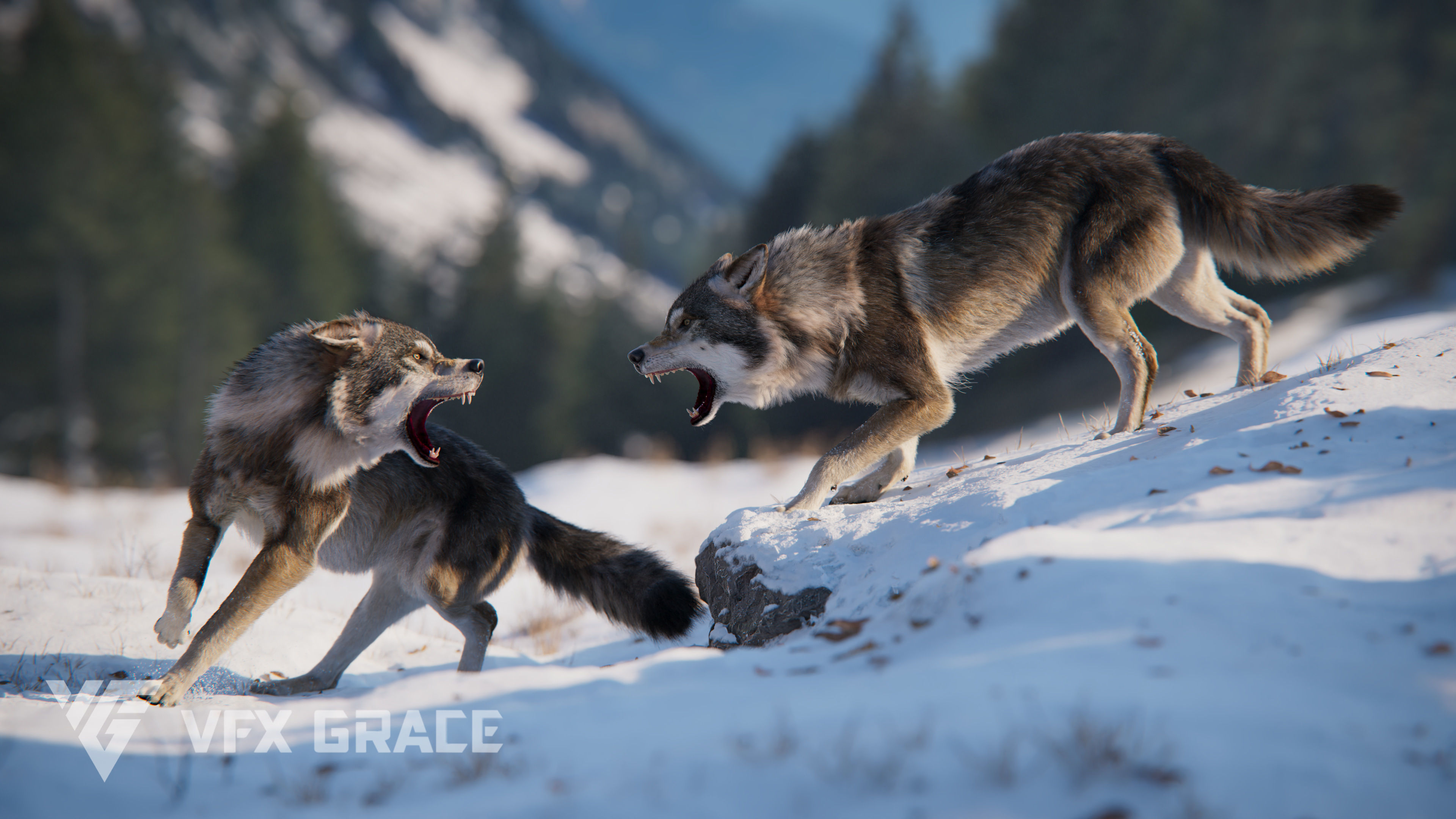 Wolf Animation VFX Grace 3D model animated rigged | CGTrader