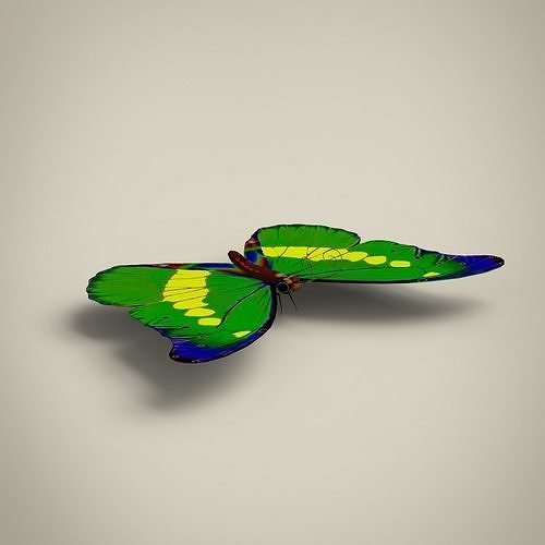 3D model Butterfly VR / AR / low-poly | CGTrader