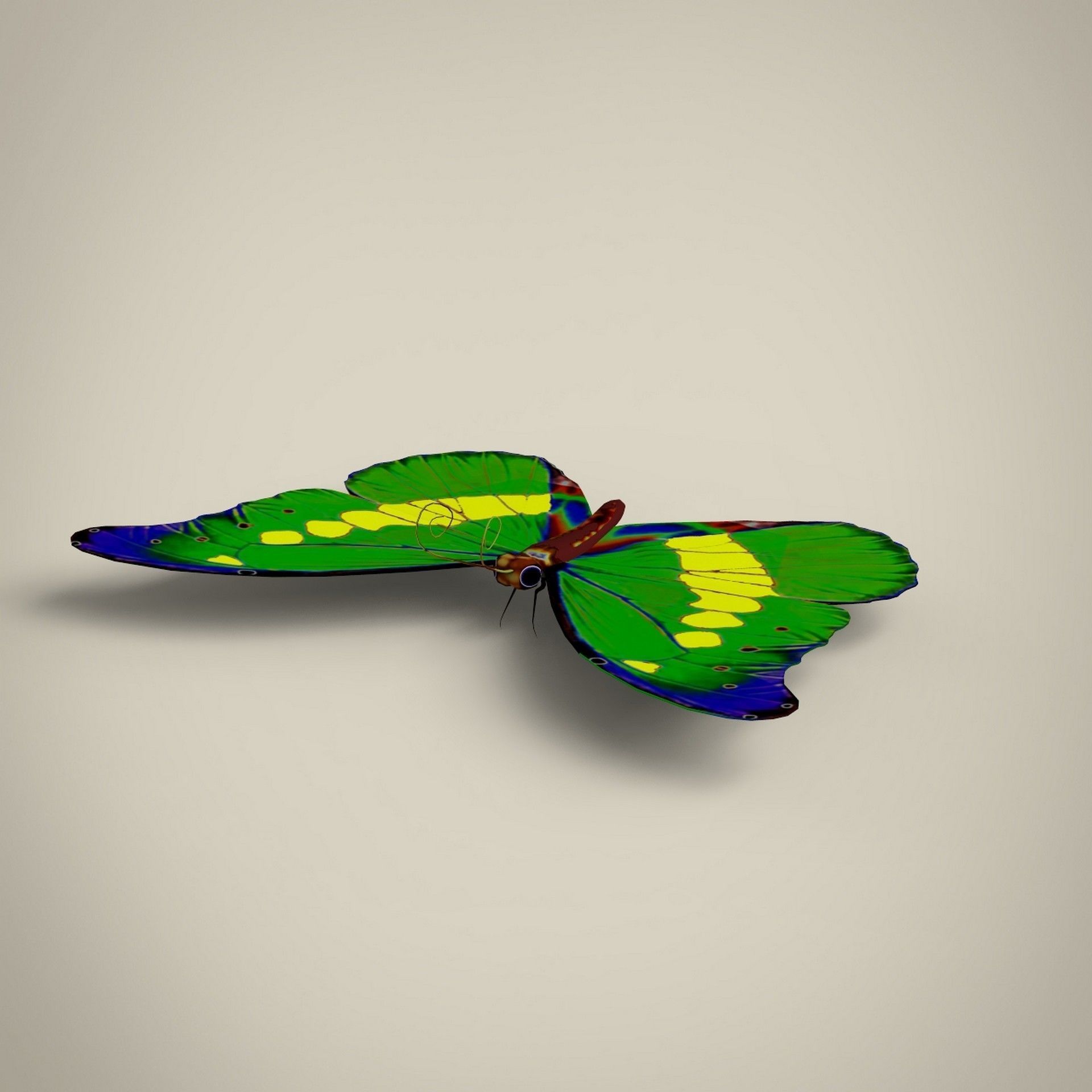 3D model Butterfly VR / AR / low-poly | CGTrader