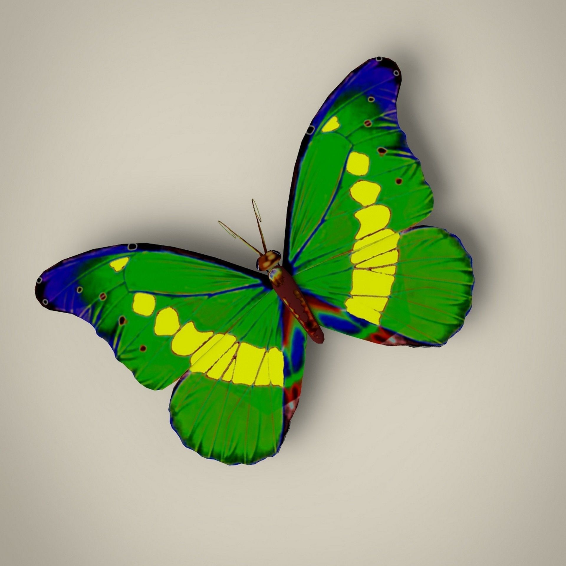 3D model Butterfly VR / AR / low-poly | CGTrader