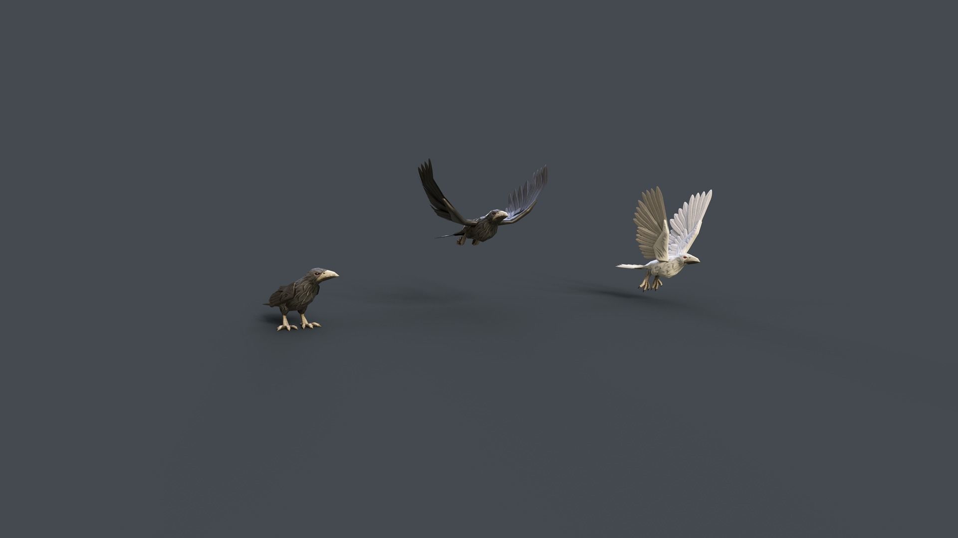 3D model Mobile Crow VR / AR / low-poly | CGTrader