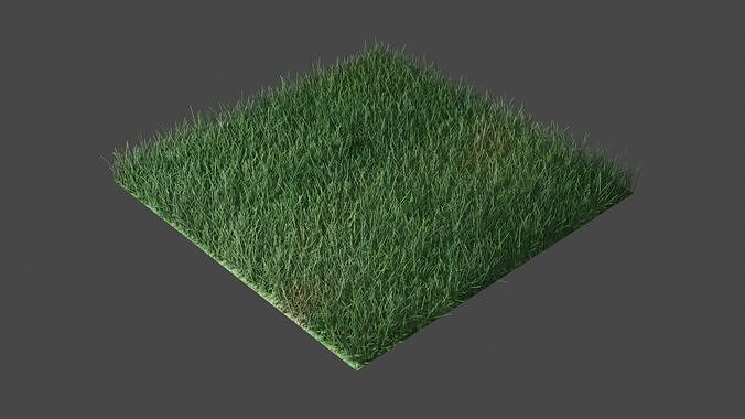 GRASS 3D MODEL free 3D model | CGTrader