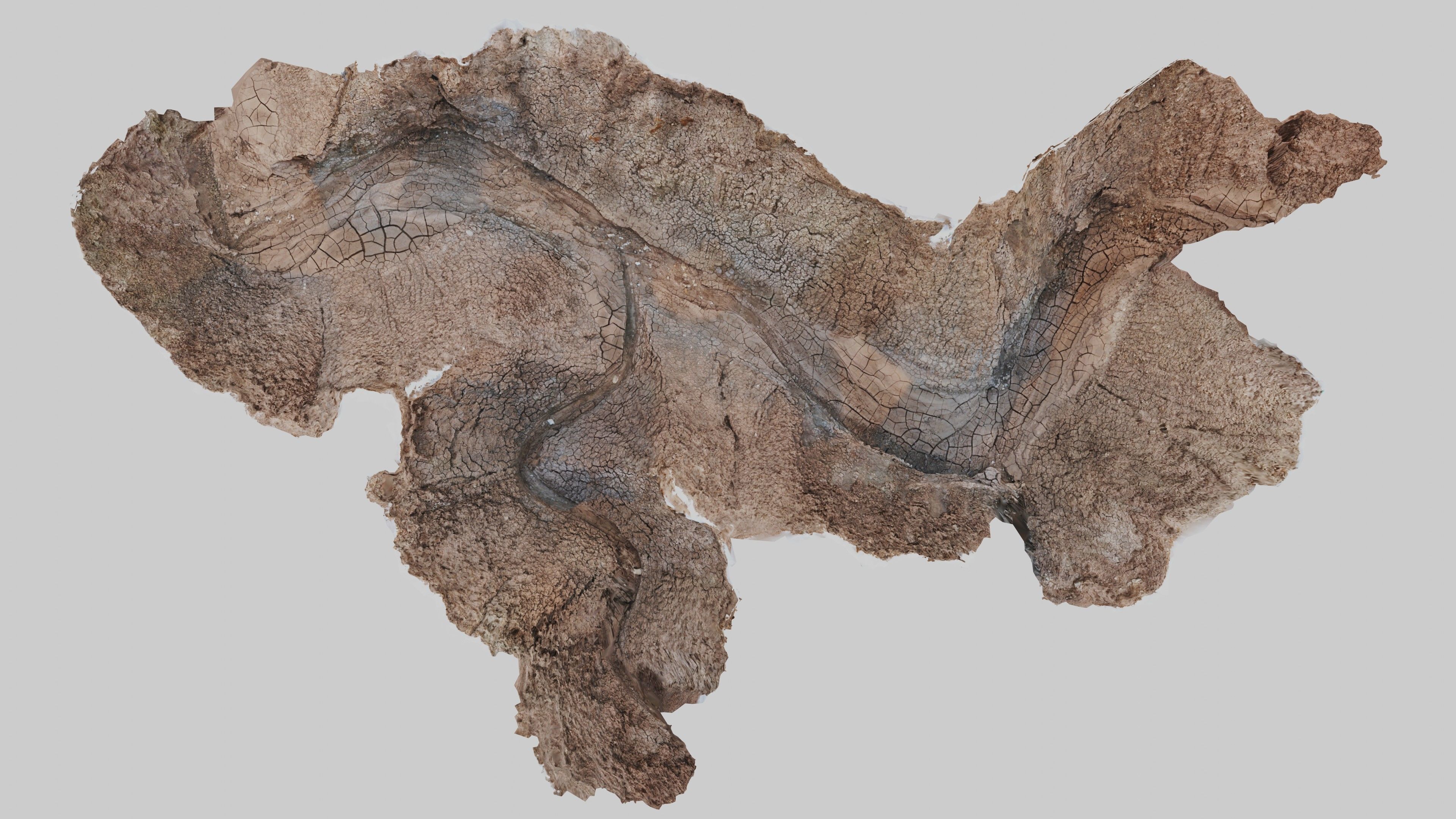 3D model Desert Ravine VR / AR / low-poly | CGTrader