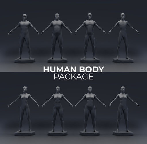 Human Body Pack Basic 3D Model 3D model | CGTrader