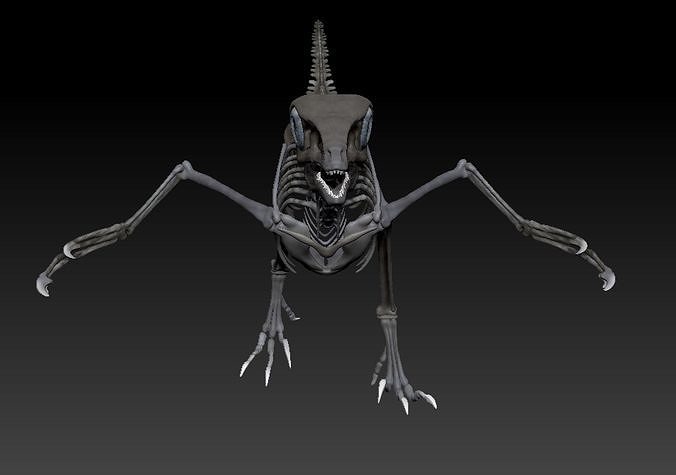 Archaeopteryx Skeleton - Full 3D archaeopteryx dinosaur bones 3D model ...