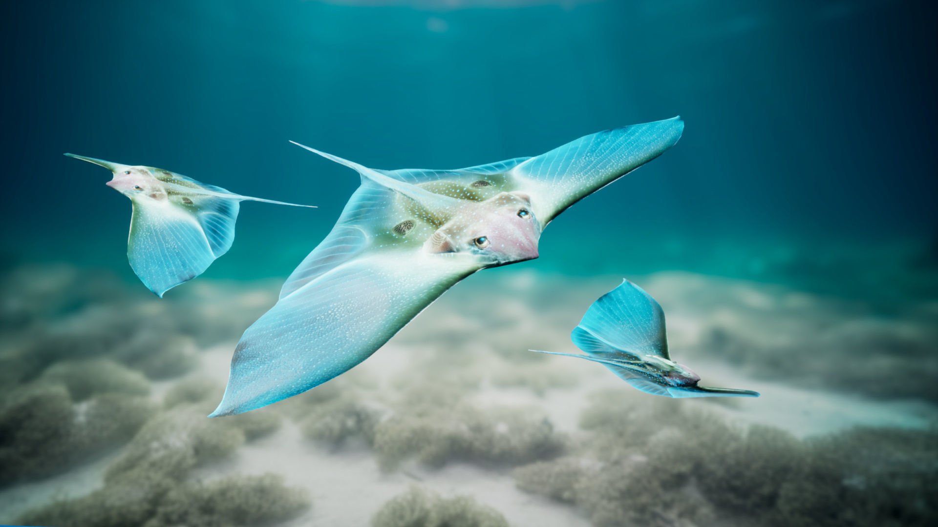 3D model Alien Fish - Scifi Fantasy Creatures - Unreal Engine Support ...