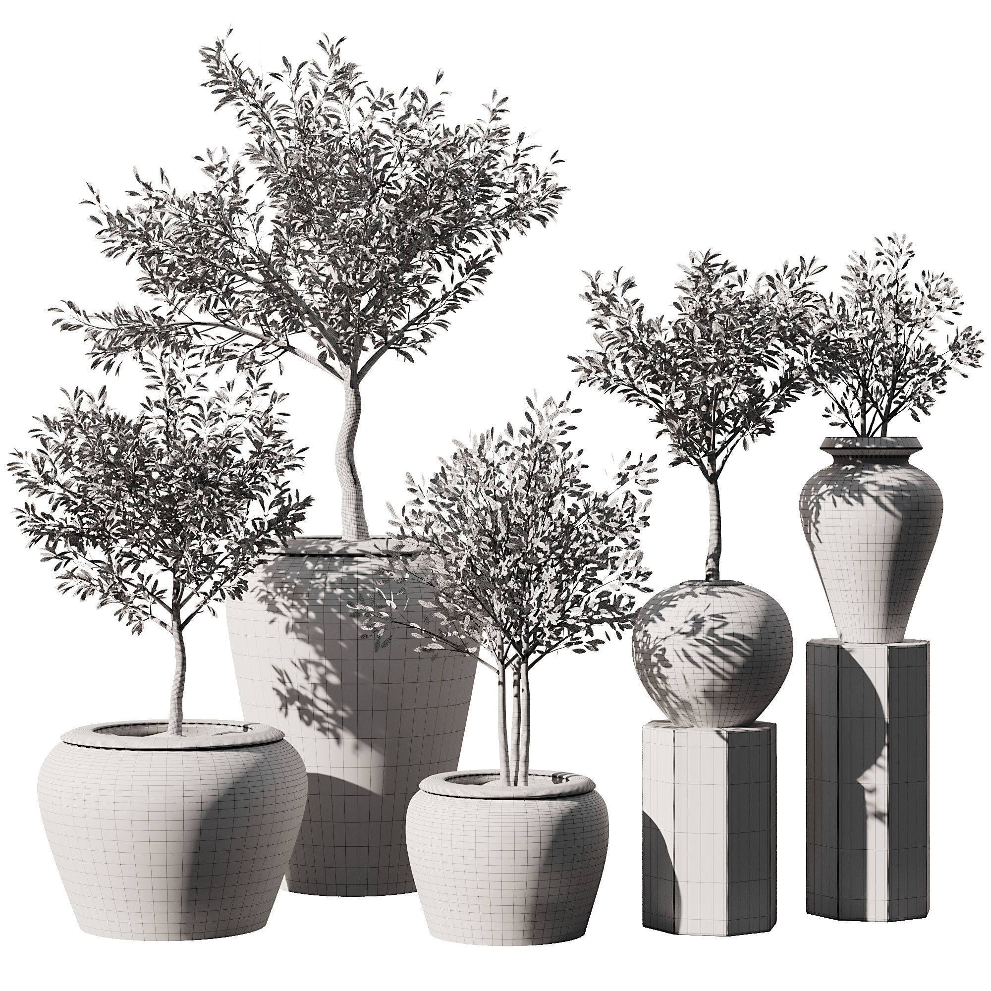 Indoor Plant Set V11 - Olive Old Pot 3D model | CGTrader