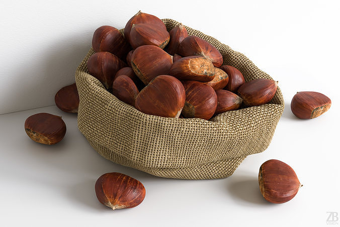 Chestnut 004 3d Model Cgtrader