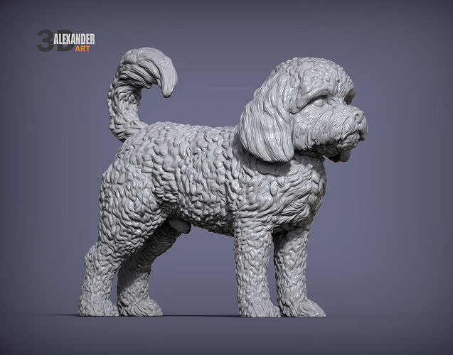 CockerPoo 3D model 3D printable | CGTrader