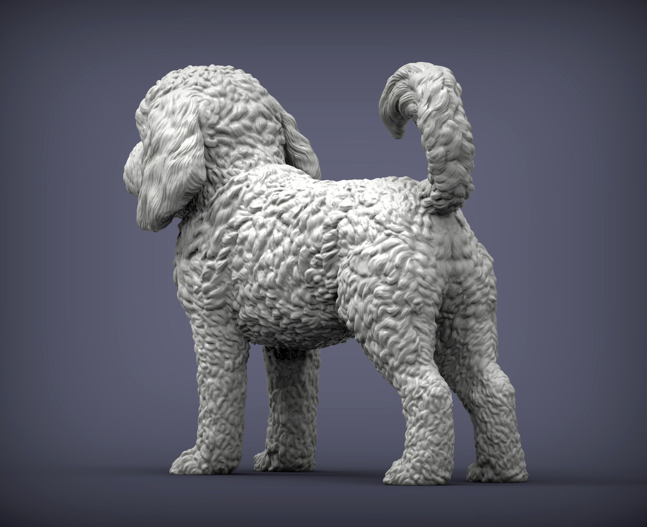 CockerPoo 3D model 3D printable | CGTrader