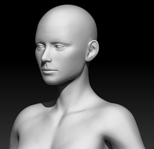 Female Base Mesh 23 3D model | CGTrader