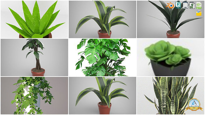 3D model Stylized Low-poly Indoor 20 Plants VR / AR / low-poly | CGTrader