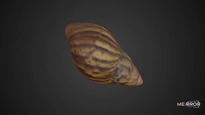 3D model Game Ready Snail VR / AR / low-poly | CGTrader