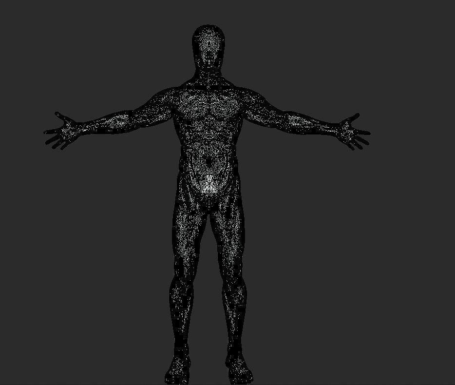 Male Base Body 3D model | CGTrader