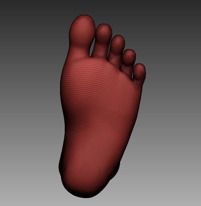 Foot feet 3D model 3D printable | CGTrader