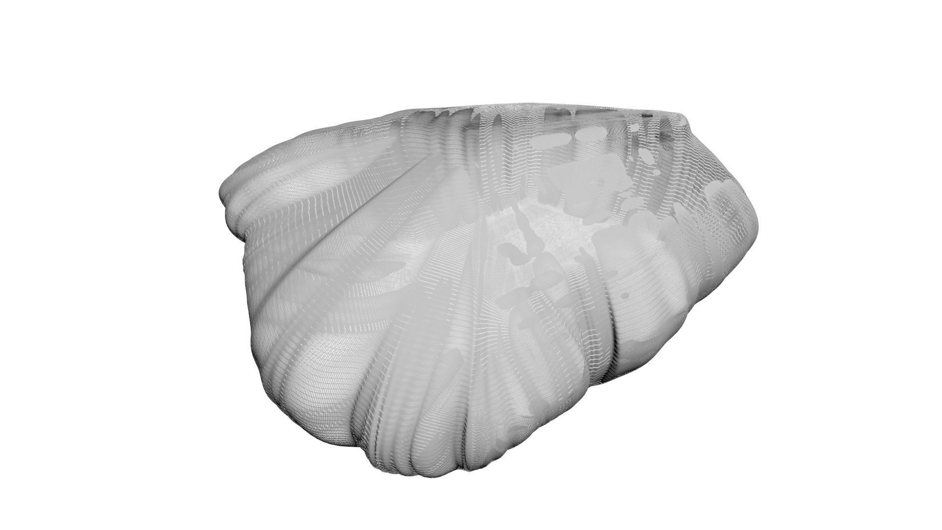 Beef Heart 3D model | CGTrader