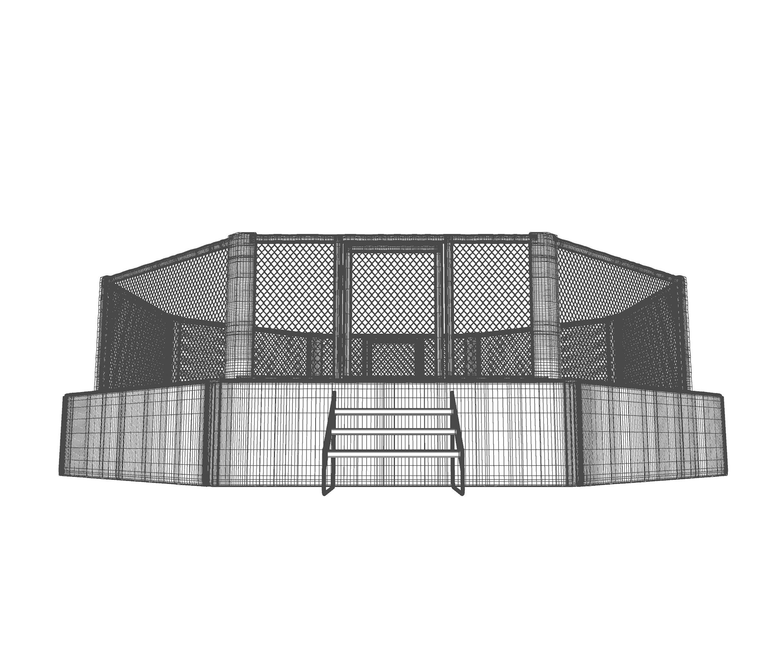 Mixed Martial Arts Octagon Arena 3D model | CGTrader