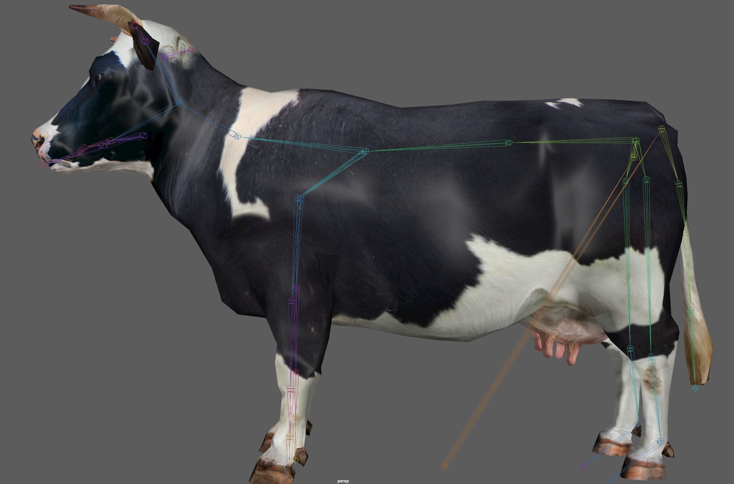 3D model Cow Rig VR / AR / low-poly | CGTrader