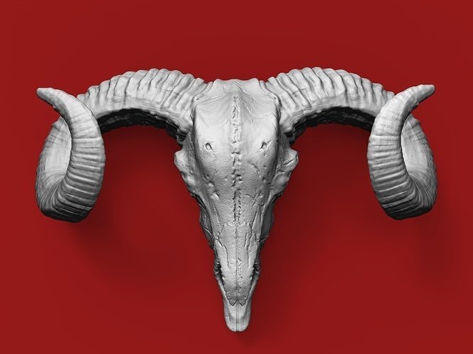 Ram skull 3D model 3D printable | CGTrader