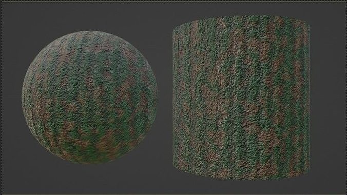tree bark pbr Texture | CGTrader