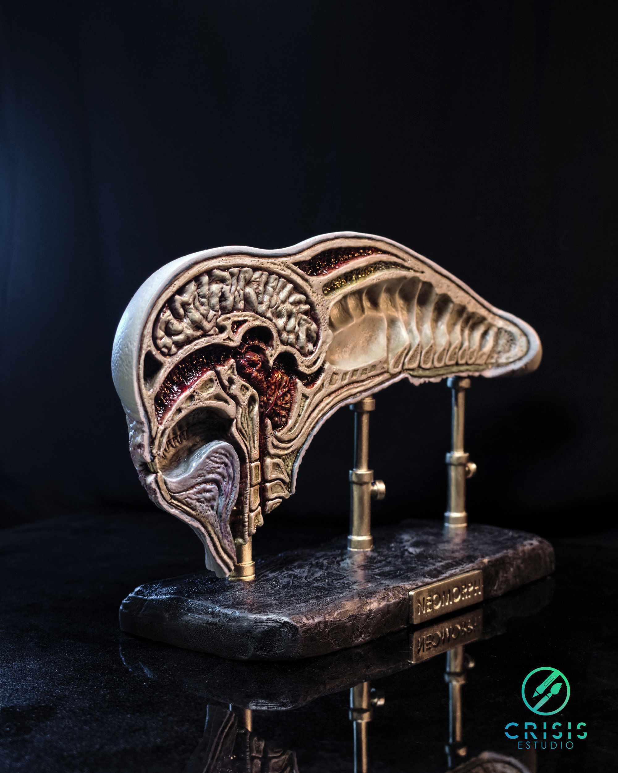 Alien covenant - Dissected neomorph head - Davids Lab 3D model 3D ...