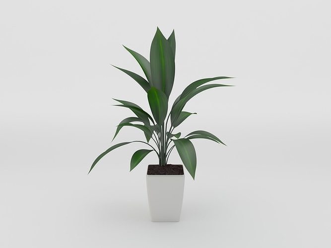 Green Potted Plant 3d Model free 3D model | CGTrader