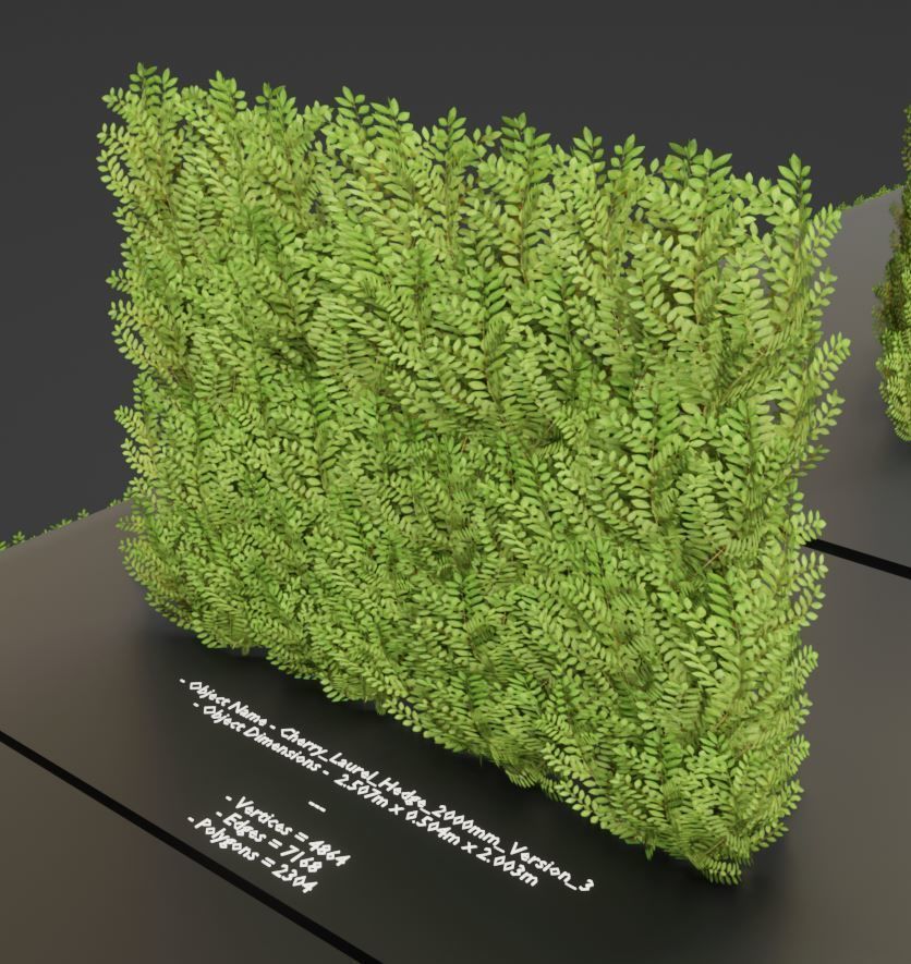 3D model Cherry Laurel Hedge Package VR / AR / low-poly | CGTrader