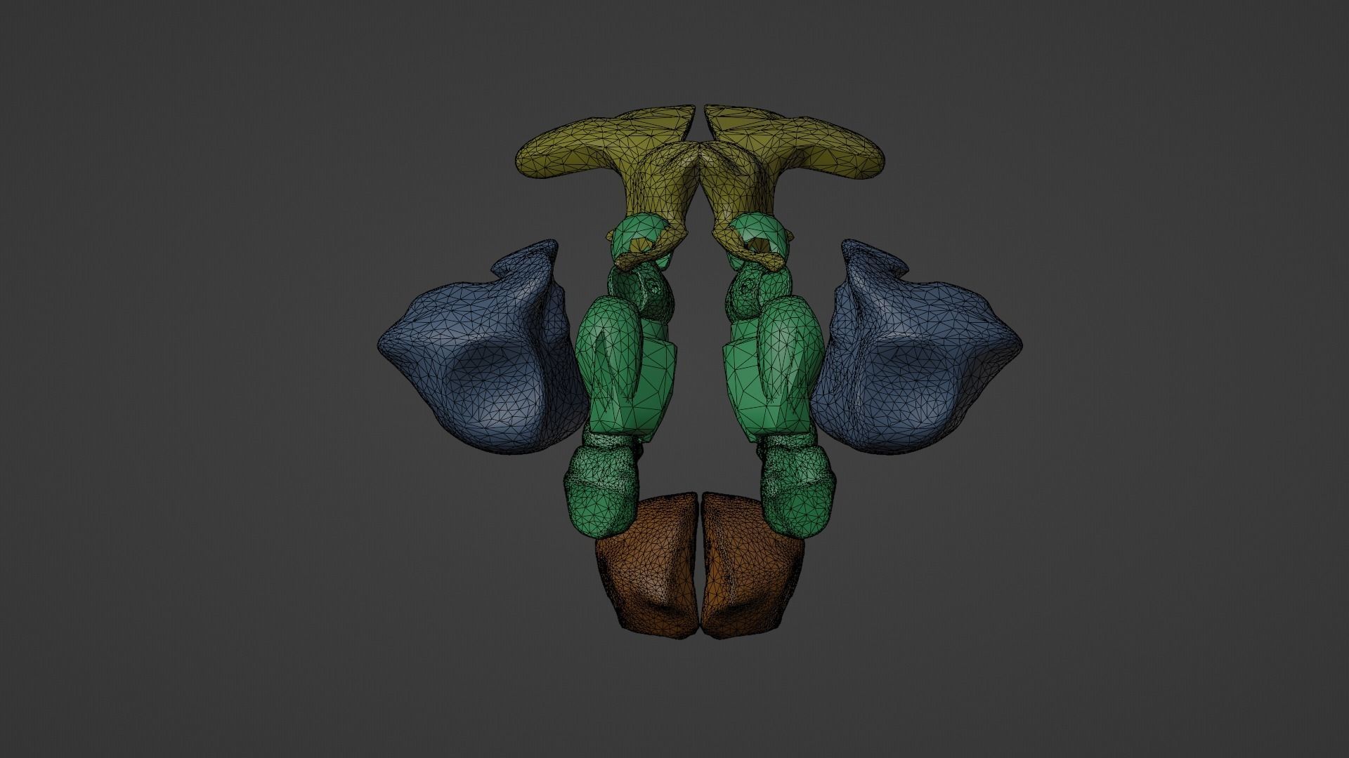 3D Model of Paranasal Sinuses 3D model | CGTrader